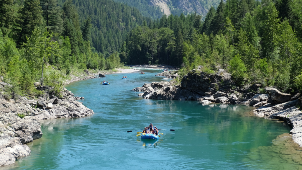 Little Shop of Horrors - Visit Libby